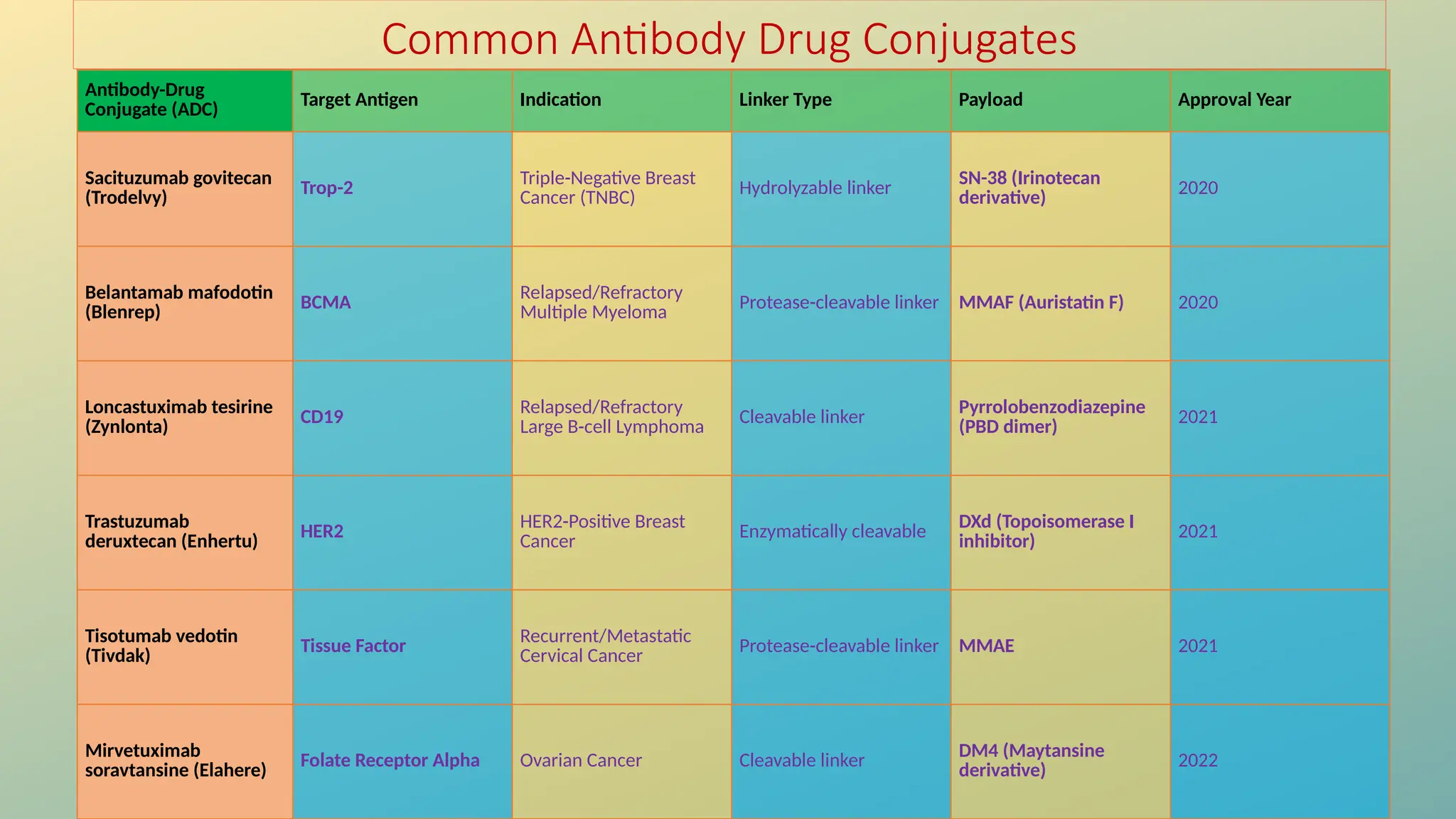 Antibody Drug Conjugates (ADCs): Basics.pptx