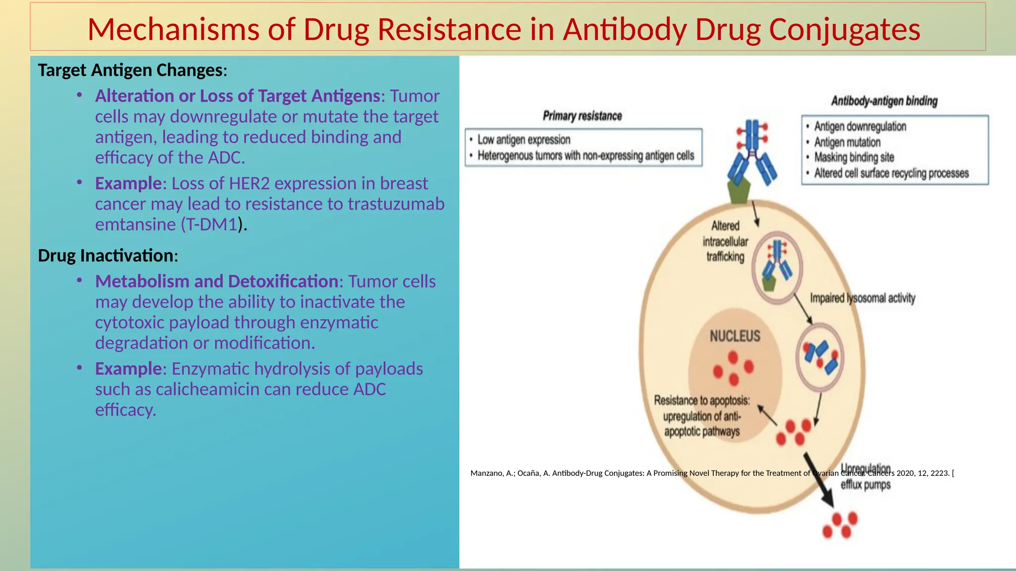 Antibody Drug Conjugates (ADCs): Basics.pptx