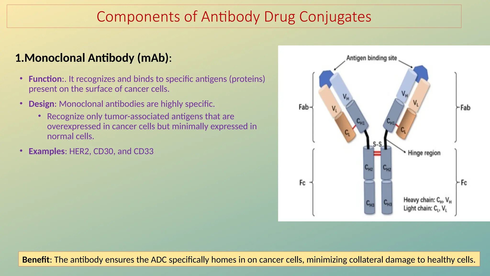 Antibody Drug Conjugates (ADCs): Basics.pptx