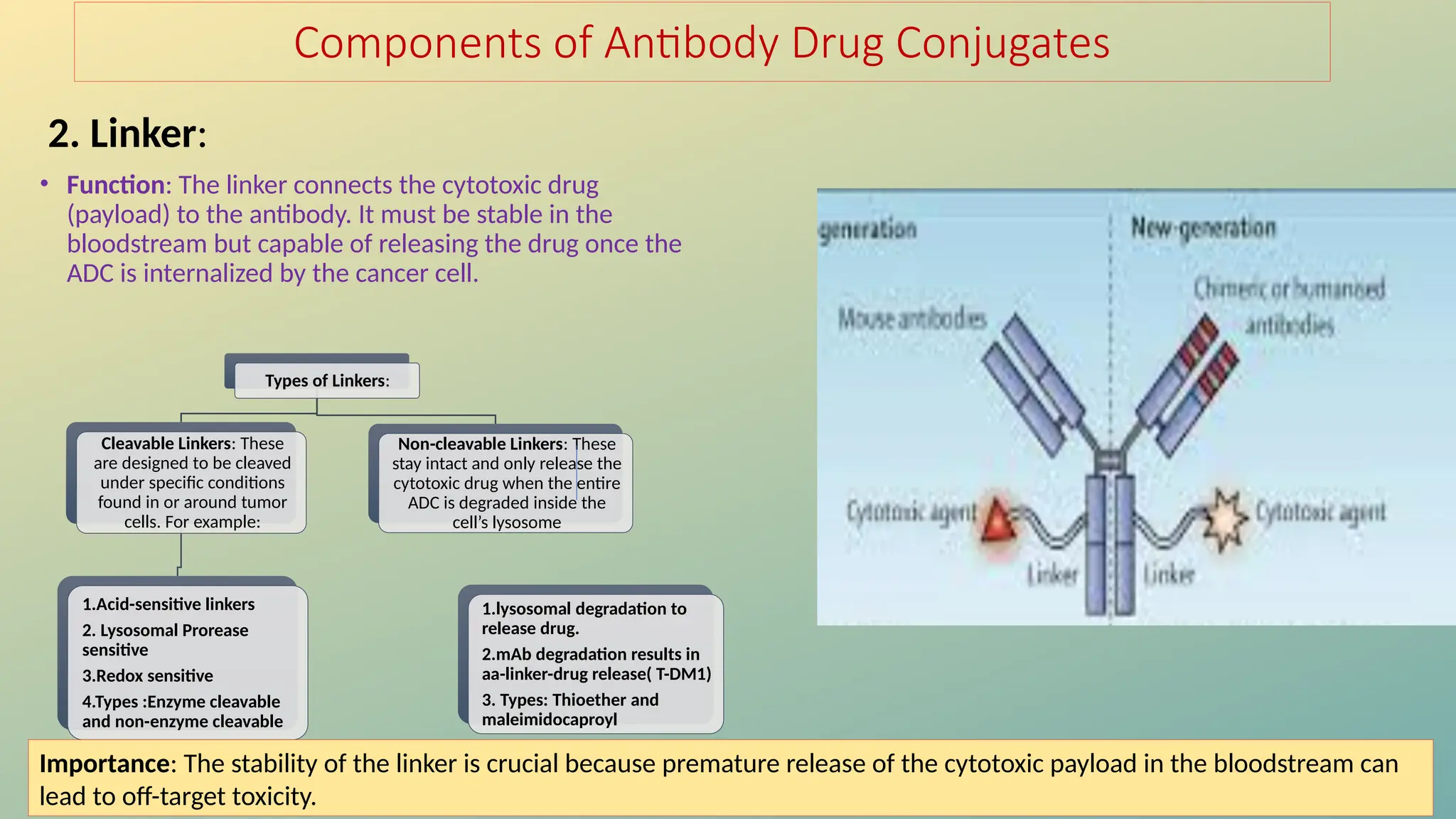 Antibody Drug Conjugates (ADCs): Basics.pptx