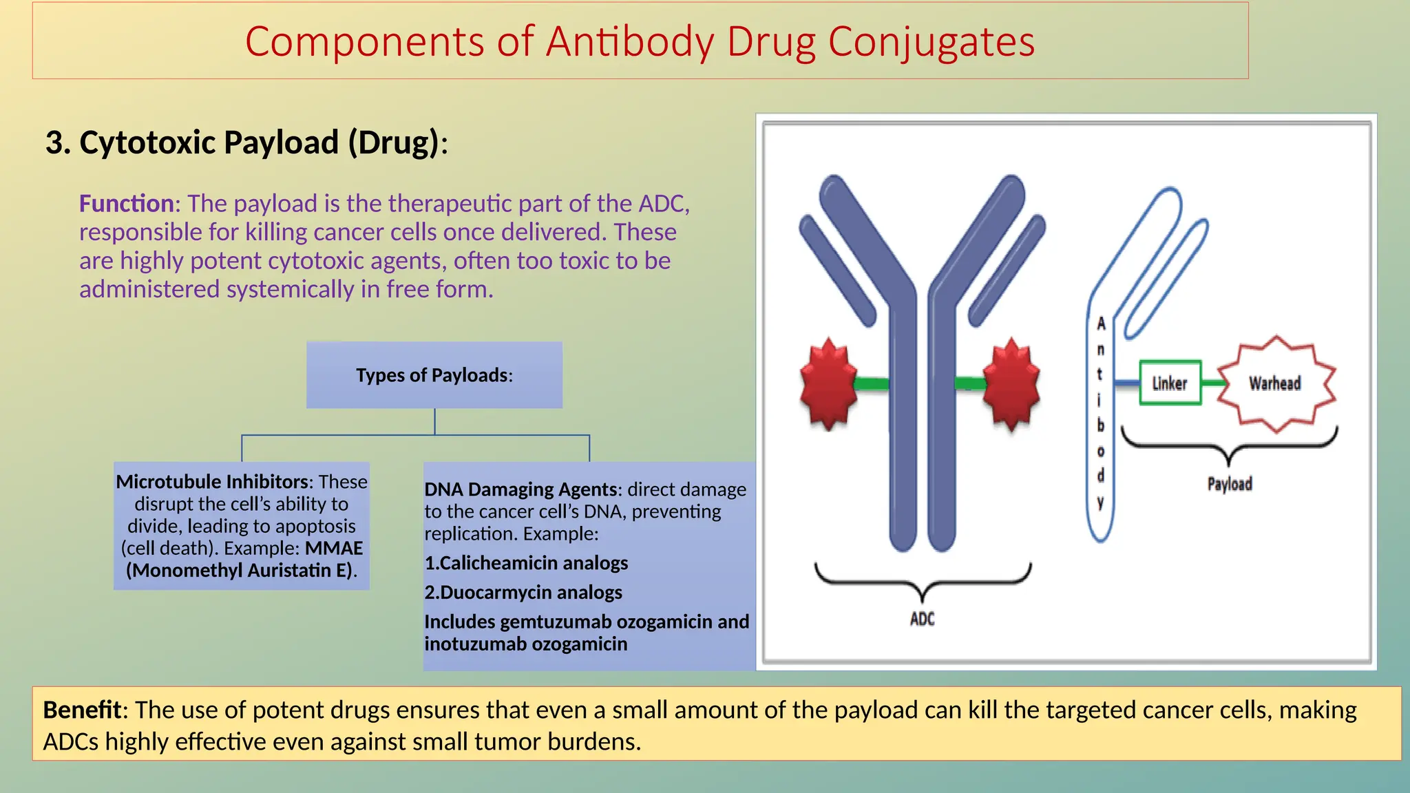 Antibody Drug Conjugates (ADCs): Basics.pptx