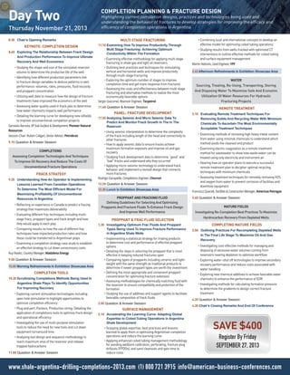 Shale Gas & Tight Oil Drilling & Completions Argentina 2013 | PDF