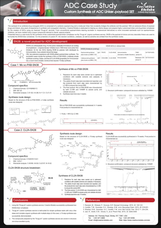 ADC Case Study-Custom Synthesis of ADC Linker-payload SET | PDF