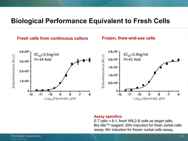 ADCC Reporter Bioassay - V and F Variants: Novel, Bioluminescent Cell ...