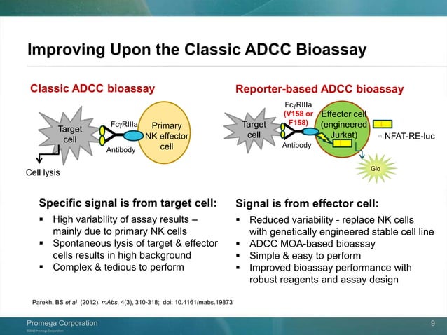 ADCC Reporter Bioassay - V and F Variants: Novel, Bioluminescent Cell ...