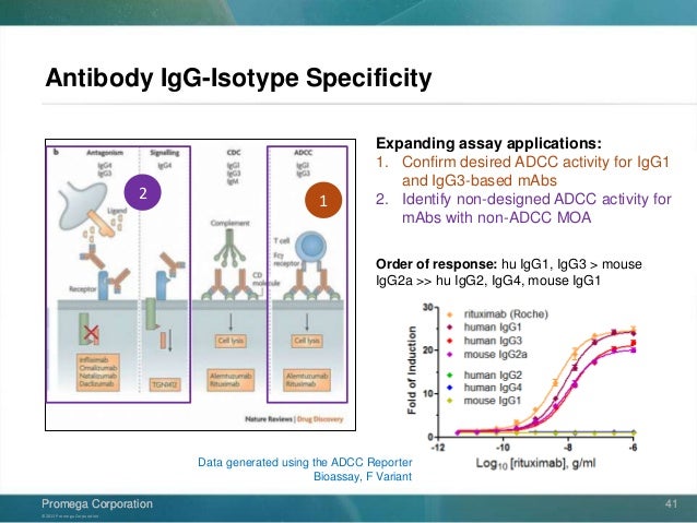 ADCC Reporter Bioassay - V and F Variants: Novel, Bioluminescent Cell…