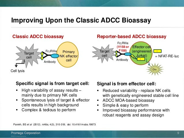 ADCC Reporter Bioassay - V and F Variants: Novel, Bioluminescent Cell…