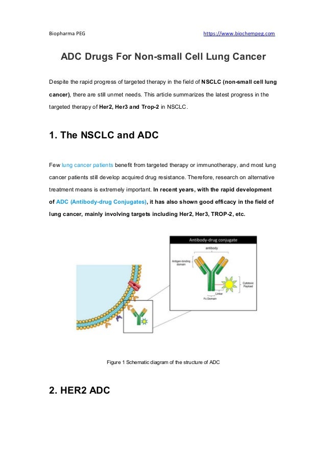 ADC Drugs For Non-small Cell Lung Cancer.pdf