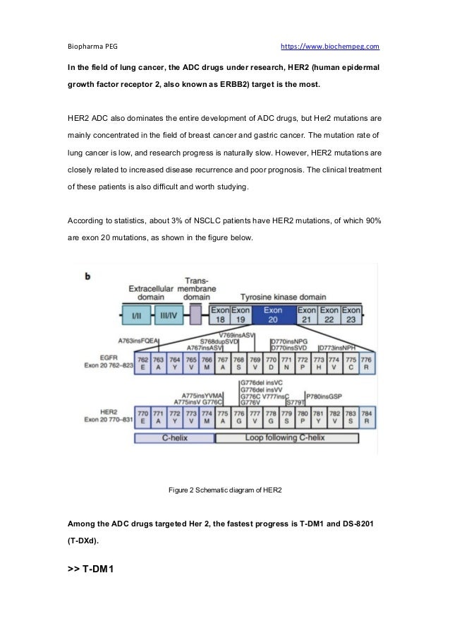 ADC Drugs For Non-small Cell Lung Cancer.pdf
