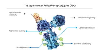 The basic knowledge of Antibody-drug conjugates (ADC) - Creative ...