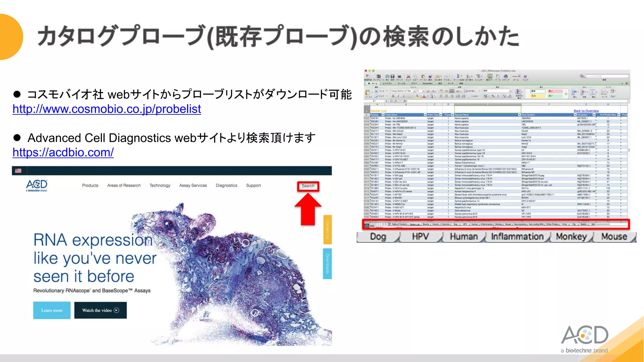 RNAscope® アッセイ概要 | PDF