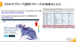 RNAscope® アッセイ概要 | PDF