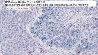 RNAscope® アッセイ概要 | PDF