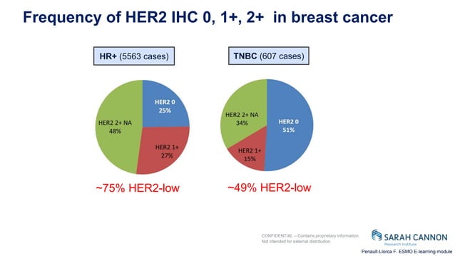 ADC’s - What Everyone with MBC Should Know about Antibody Drug ...