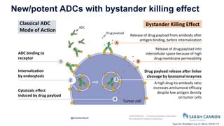 ADC’s - What Everyone with MBC Should Know about Antibody Drug ...