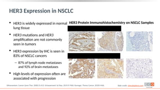ADCs in EGFR-Mutation Resistant NSCLC.pptx