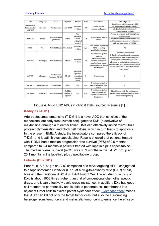 ADCs Targeting the HER Family.pdf