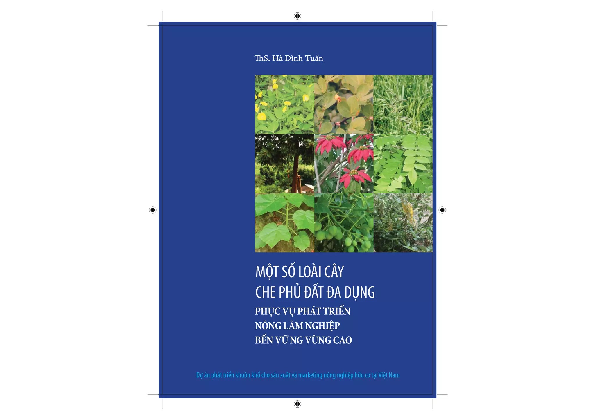 Adda. Mot so loai cay che phu dat 1 | PPT