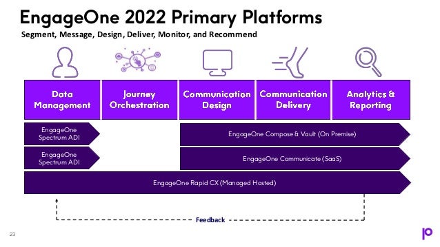 Introducing Business Agility and Governance to Your Customer ...