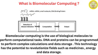 Bio molecular Computing.pdf