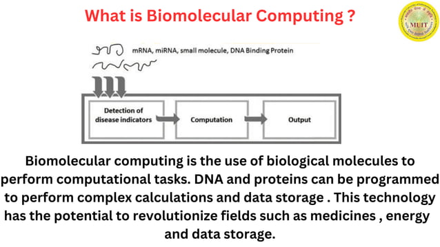 Bio molecular Computing.pdf