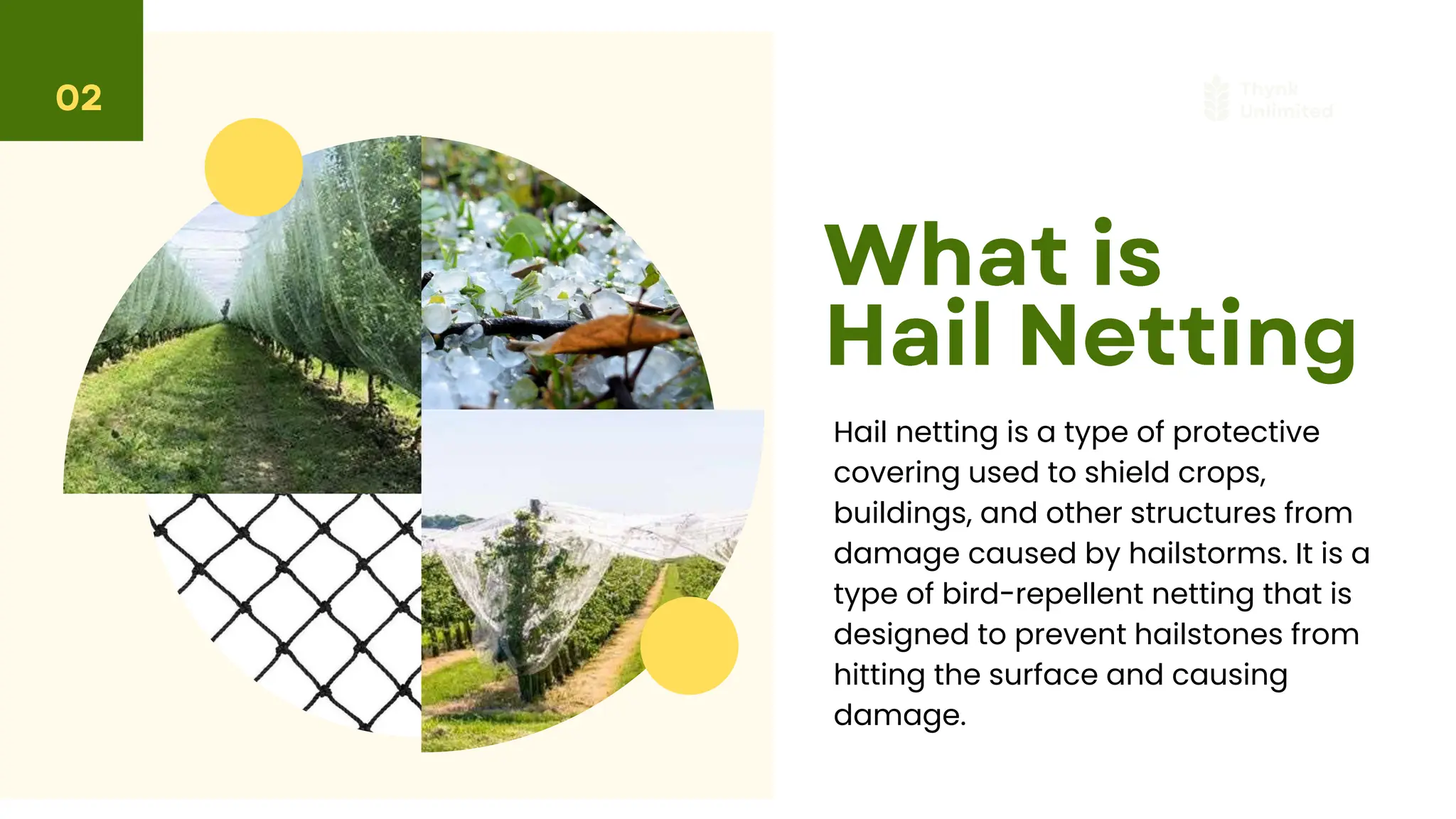 Hail Netting:Protecting Crops from Nature's Fury | PPTX
