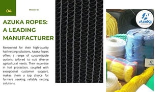 Hail Netting:Protecting Crops from Nature's Fury | PPTX | Agriculture ...