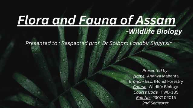Flora and Fauna of Assam Wildlife biology | PDF
