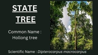 Flora and Fauna of Assam Wildlife biology | PDF