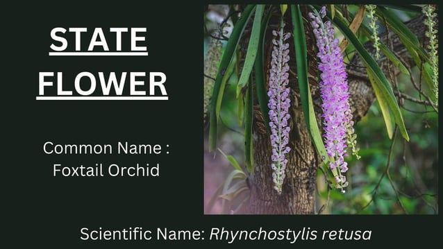 Flora and Fauna of Assam Wildlife biology | PDF