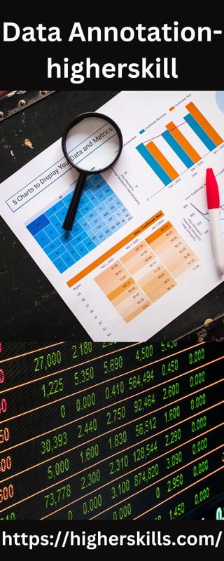 Data Annotation | PDF