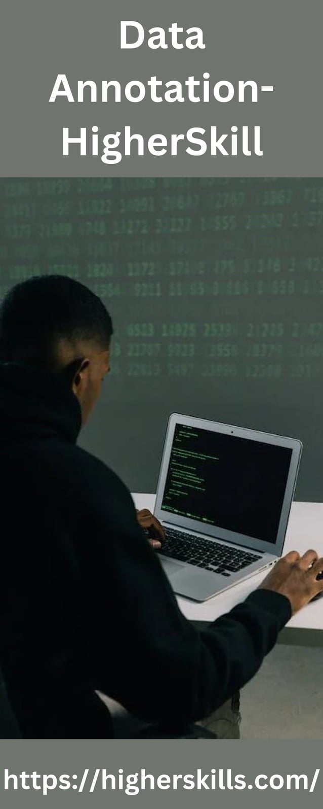 The Art and Science of Data Annotation | PDF