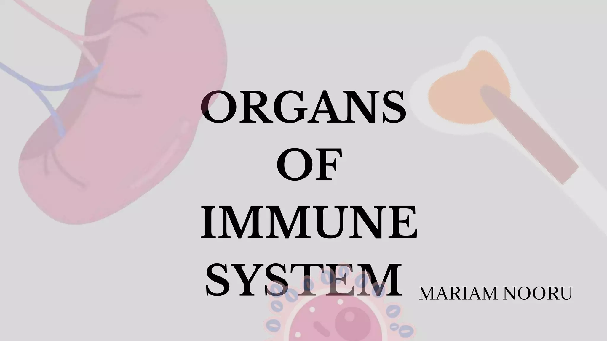 Organs of immune system | PPT