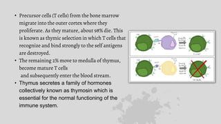 Organs of immune system | PPTX