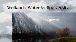 Wetland , water and biodiversity quotes (by great personality) | PPT