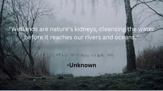 Wetland , water and biodiversity quotes (by great personality) | PPT