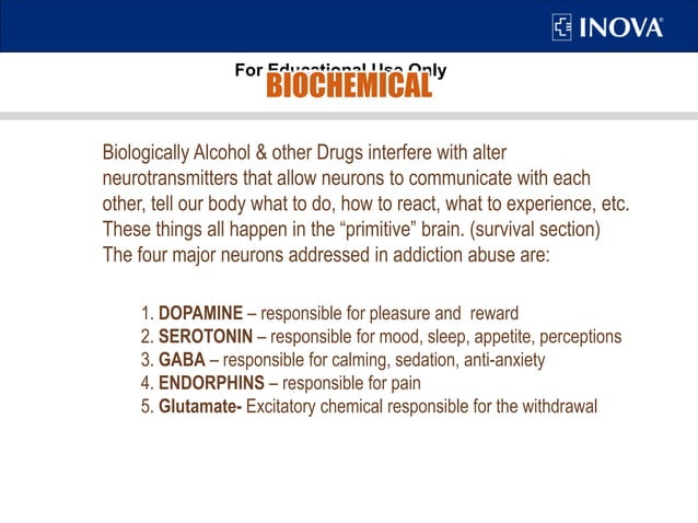 Addiction-and-the-Brain-Inova-Template_-002(1).pptx