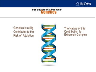 Addiction-and-the-Brain-Inova-Template_-002(1).pptx