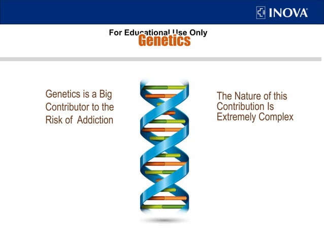 Addiction-and-the-Brain-Inova-Template_-002(1).pptx
