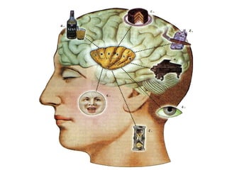 Addiction 101 - September 2012 | PPT