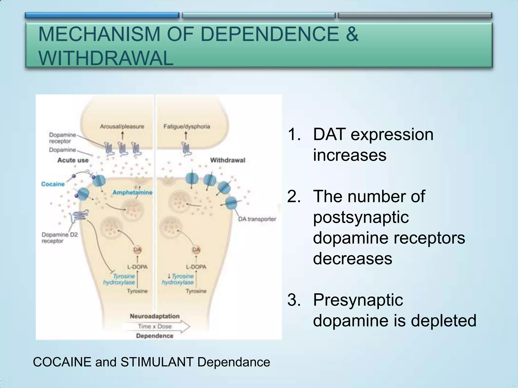 Addiction circuitry in human brain | PPTX