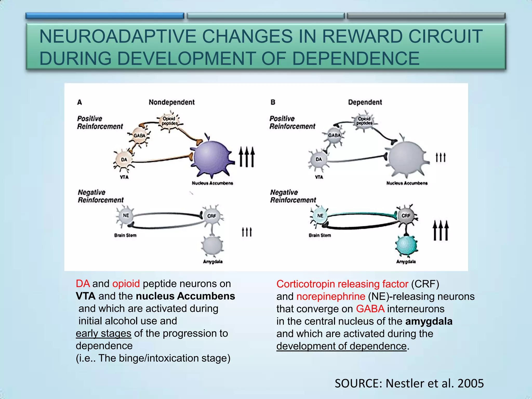 Addiction circuitry in human brain | PPTX