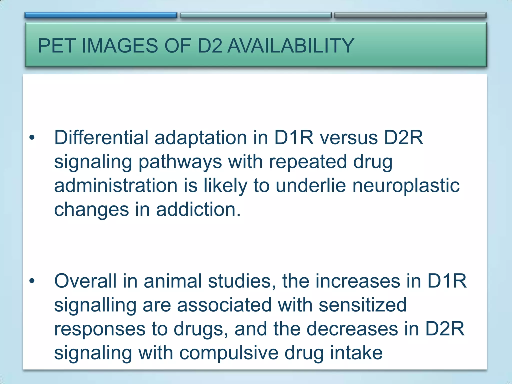 Addiction circuitry in human brain | PPTX
