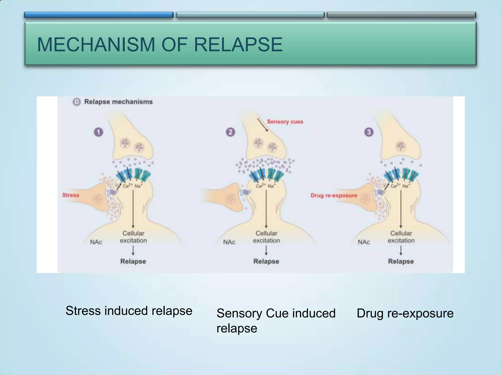 Addiction circuitry in human brain | PPTX