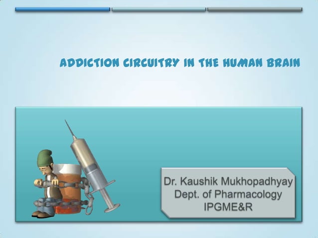 Addiction circuitry in human brain | PPTX | Substance Abuse | Diseases ...