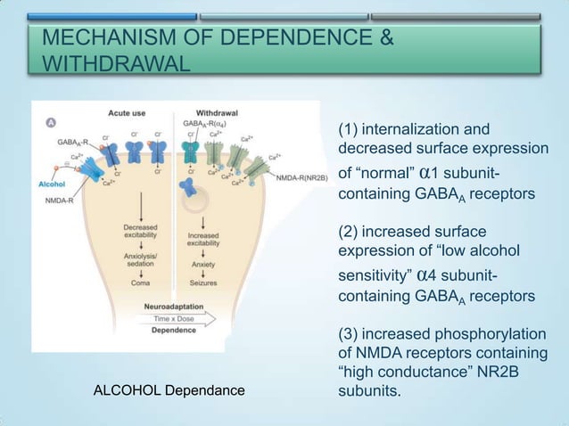 Addiction circuitry in human brain | PPTX | Substance Abuse | Diseases ...