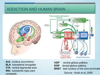 Addiction circuitry in human brain | PPTX