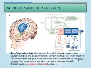 Addiction circuitry in human brain | PPTX