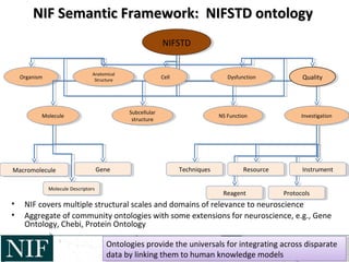 Data Landscapes - Addiction | PPT