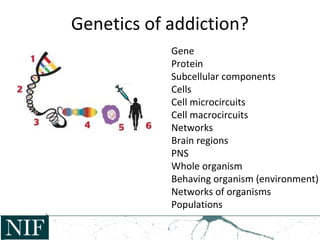 Data Landscapes - Addiction | PPT
